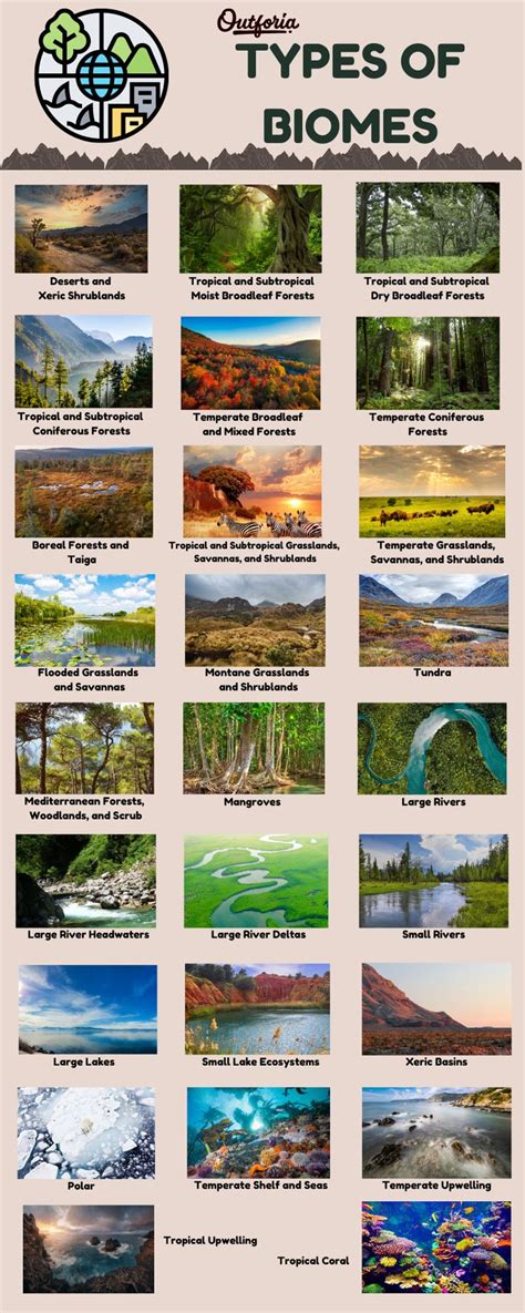 Unveiling Earths Wonders 26 Types Of Biomes Explored Biomes Types