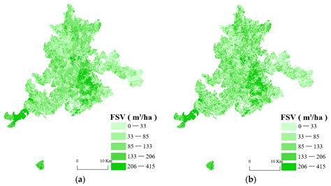 Integrating Remote Sensing Data And Cnn Lstm Attention Techniques For Improved Forest Stock