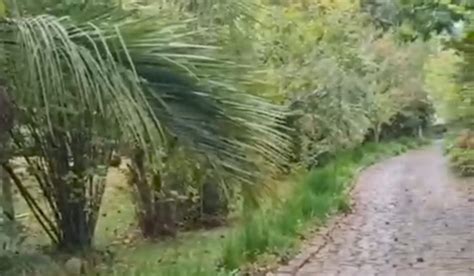 Massa De Ar Frio Chega Ao Sul Do País E Temperaturas Devem Oscilar