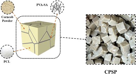 Structure Diagram Of Cpsp After Molding Download Scientific Diagram