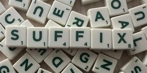 Definition And Meaning Of Suffix Examples Synonyms And Antonyms