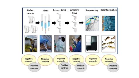 This Is How Edna Sampling Works Aquabiota