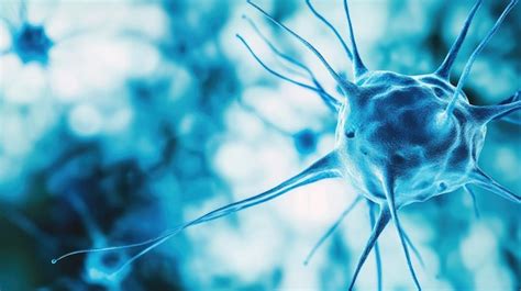 Closeup Of Neural Network Cells In Blue Abstract Background Premium