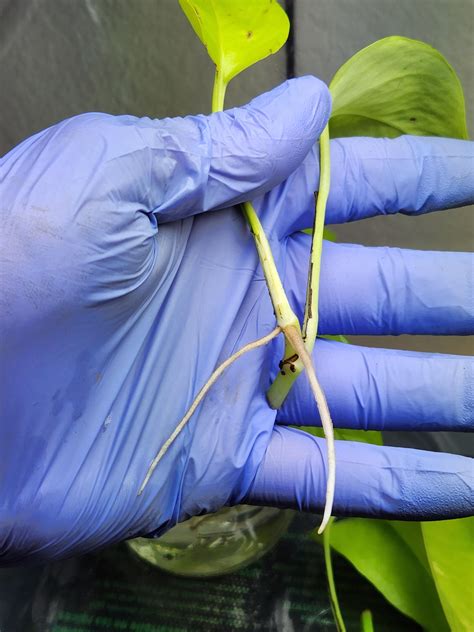 Can Someone Explain These 3 Different Propagation Outcomes There Are