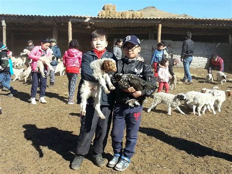 Б Аюуш багштай 4А ангийнхан АЧСҮАЦагаар Монгол ахуй Малч ухаан аас