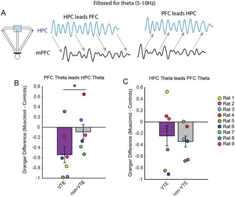 re inactivation reduces mpfc to dhpc theta directionality during vtes