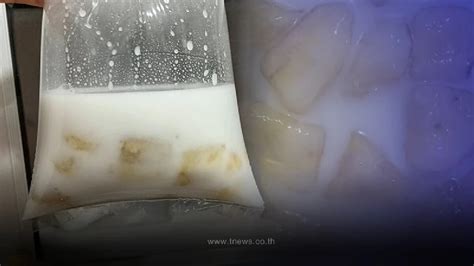 เจ้าที่แรง จ้องแย่งซีน เหมียวตัวอ้วนบุกศาลพระภูมิ ความน่ารักสุดพีค ทำชาวเน็ตแชร์สนั่น คลิป