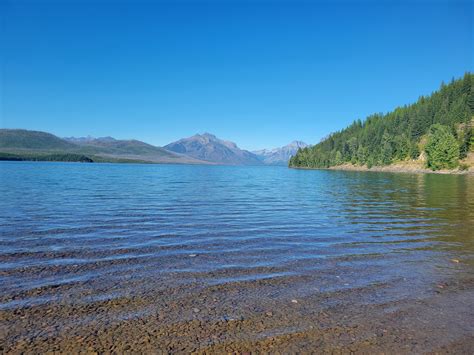 William Ellis Obituary Bothell Wa