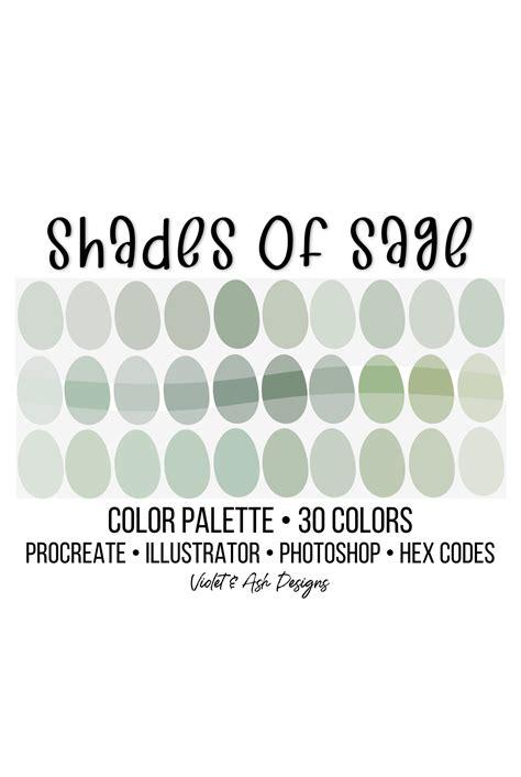 Sage Procreate Palette Color Chart Photoshop IPad Procreate Digital Download Muted