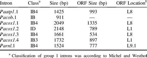 Main Features Of Pseudendoclonium Mitochondrial Introns Download Table