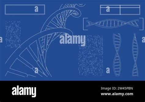 Microscope Blueprint Stock Videos And Footage Hd And 4k Video Clips Alamy