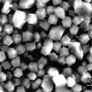 FE SEM Images Of A CoMn ZIF Ac 2 And B CoMn N C Ac 2 800 C TEM Download Scientific