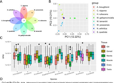 Figure 2 From Transcriptional Landscape Of Small Non Coding Rnas