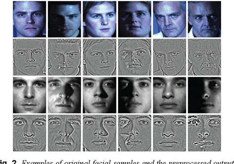 Figure 1 From Face Template Protection Using Deep Ldpc Codes Learning