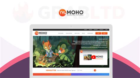 Moho Lifetime Deal Animation Software