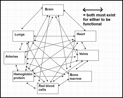 Future And Cosmos Biology Origin Claimants Ignore Functional