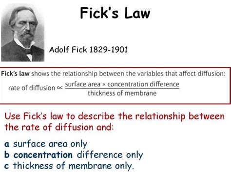 Factors Affecting Diffusion Ficks Law Gcse Biology Lesson Sb8b Triple Teaching Resources