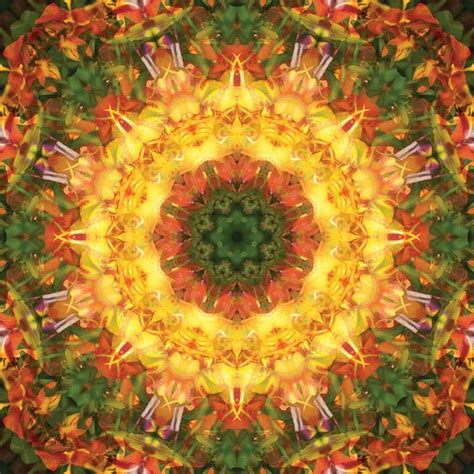 Colorful Kaleidoscope Xviii Canvas Wall Art By Anna Miller Icanvas