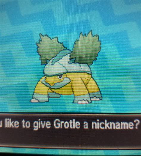 Best Grotle Posts Reddit