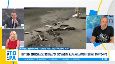 Η αύξηση της θερμοκρασίας των υδάτων σκοτώνει τα ψάρια και αλλάζει είδη και πληθυσμούς Action