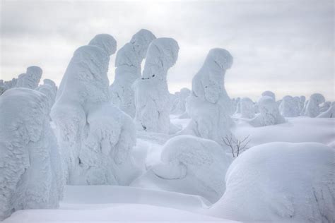 Zao Is Snow Monster Paradise Yamagata City Yamagata Japan Travel
