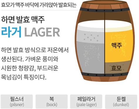 취향 따라 즐겨보자 수제맥주 조선닷컴 인터랙티브 뉴스