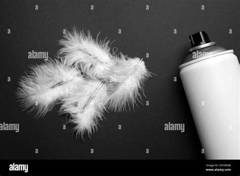 Can Feathers Be Spray Painted At Tracey Parmelee Blog