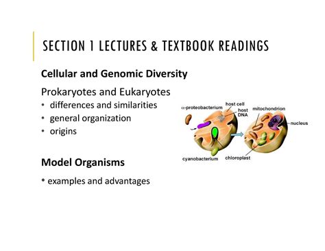 Lecture1 2Cells And DNAintro SECTION 1 LECTURES TEXTBOOK READINGS Cellular And Genomic