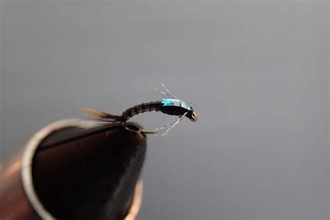 Fly Patterns Nymph