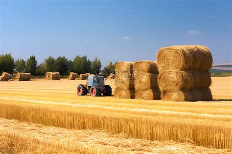 乡村麦田中的麦秸秆高清图片下载 正版图片600881803 摄图网