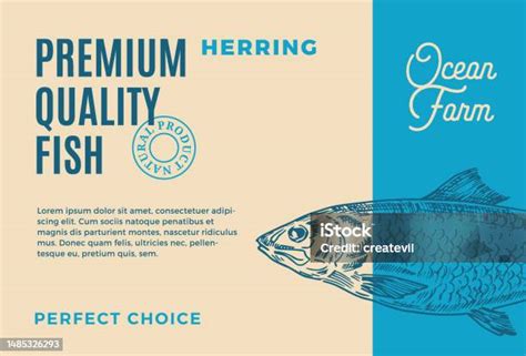 프리미엄 품질의 청어 추상 벡터 물고기 포장 디자인 또는 라벨 현대 타이포그래피와 손으로 그린 청어 실루엣 배경 레이아웃 고풍스런에 대한 스톡 벡터 아트 및 기타 이미지