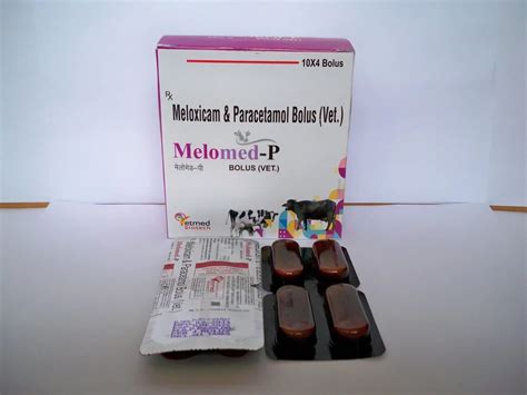 Meloxicam Paracetamol Bolus Vetmed Biotech Packaging Type Strip At Best Price In Baddi