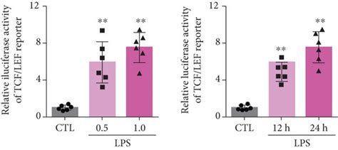 The Dissociation Of Ve Cadherinβ Catenin Complex And The Activation Of Download Scientific