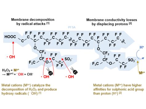 Metal Elusion Imaging Using Micro Xrf To Identify The Root Cause Of Pemfc Degradation Horiba