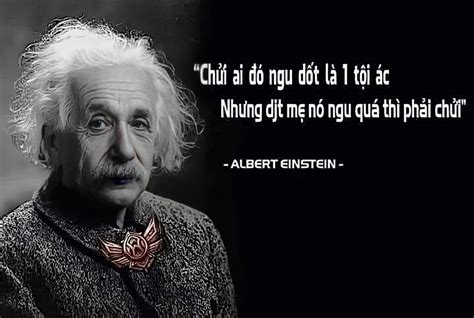 Chửi Ai đó Ngu Dốt Là 1 Tội ác Nhưng Dm Nó Ngu Quá Thì Phải Chửi Trích