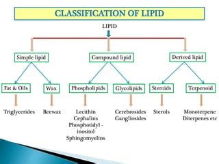 Lipids Properties Classification Function PPTX
