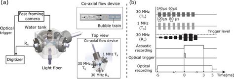 Combined Optical Sizing And Acoustical Characterization Of Single Freely Floating Microbubbles