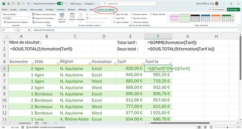Easy Micro EXCEL AVANCéES Tableaux de données Formations