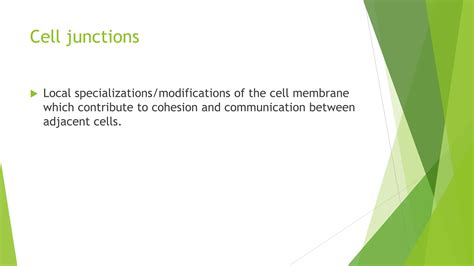 Cell Junction Ppt Dr Huma Beenish 1 Pptx
