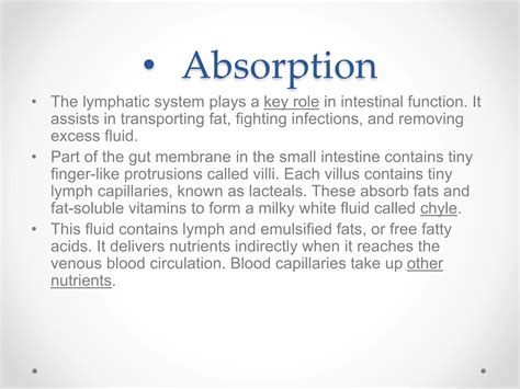 Lymphatic System By Yogesh Kumar Pptx