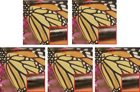 Reconstructed Hr Images Scaling Factor 3 Of A Butterfly By Different