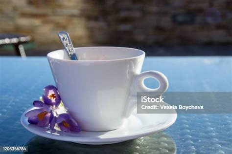 야외에서 커피 한 잔 뜨거운 음료와 작은 보라색 꽃의 클로즈업 사프란 크로커스 사티우스 배경의 산 0명에 대한 스톡 사진 및 기타 이미지 Istock
