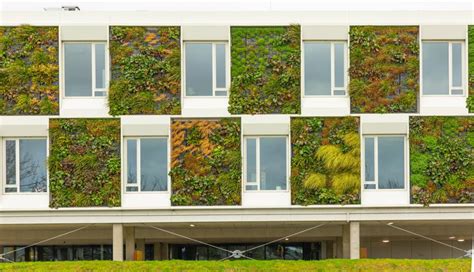 Most Difficult School System In The World Homeschooler Pro