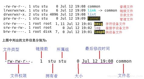 Linux基础命令大全objdump 显示变量 Csdn博客