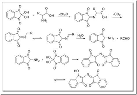 Ninhydrin Test Definition Principle Procedure