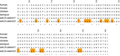 Multispecies Sequence Comparison Of C Terminal Transactivation Domains Download Scientific