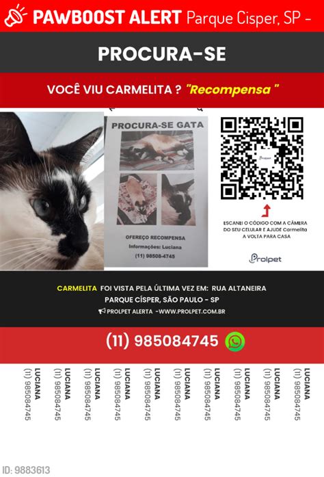 Parque Cisper Sp Lost Female Cat Carmelita Is Missing Pawboost