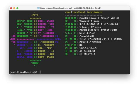 2021年centos7安装oracle11g全记录centos7 安装oracle 11g Csdn博客