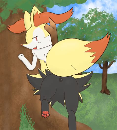 Rule 34 Anus Ass Black Anus Braixen Canid Canine Flirtation