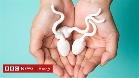 පිරිමින්ගේ සරුභාවයට කොවිඩ්වලින් බලපෑමක් පර්යේෂණයකින් හෙළිවෙයි Bbc News සිංහල